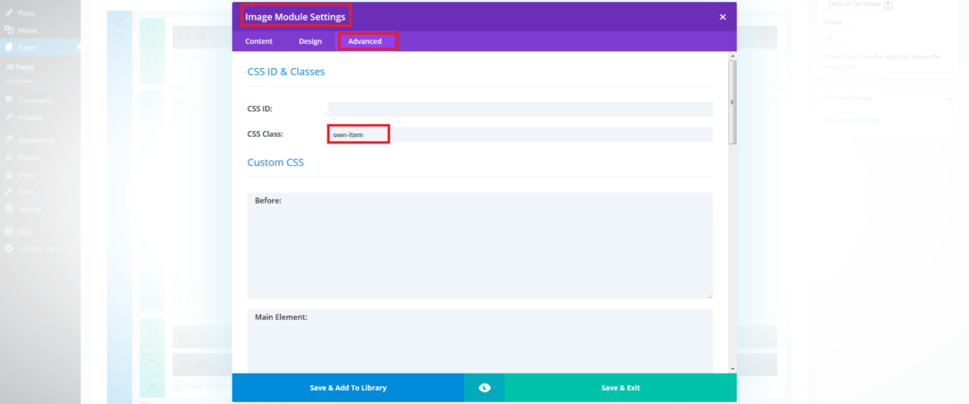 Create Client Logo Carousel In DIVI Using Owl Carousel With Different ...